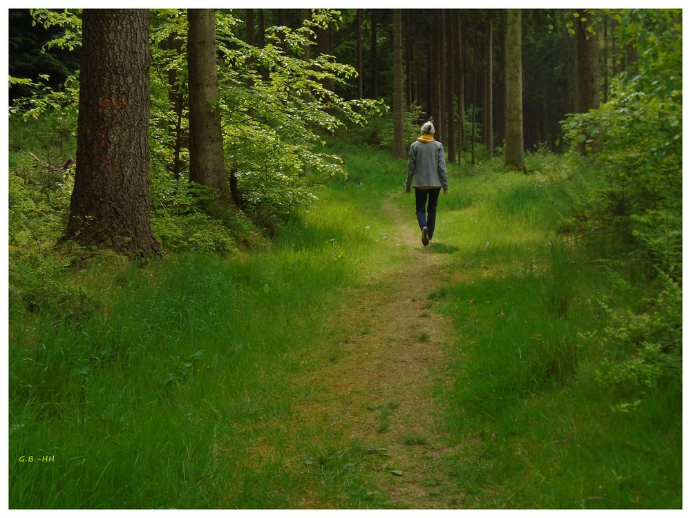 Der Wald....... Foto & Bild | erwachsene menschen, landschaft, wald Bilder auf fotocommunity