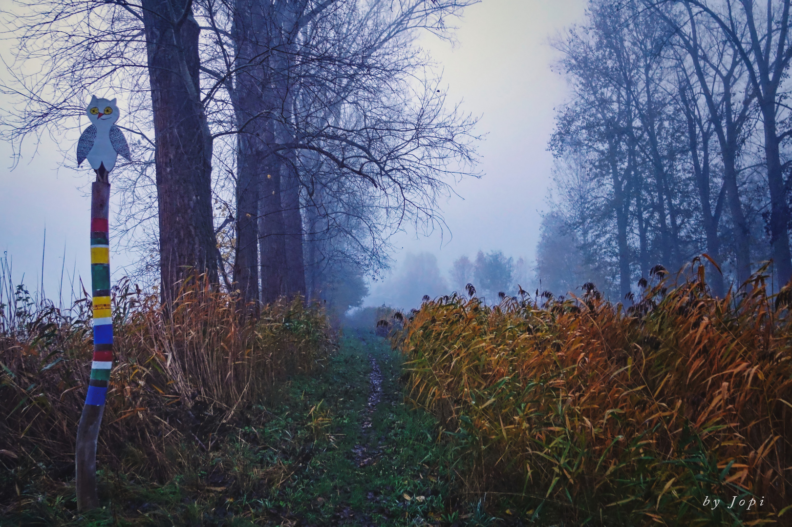 Der Wanderweg Foto & Bild | himmel, natur, landschaft Bilder auf ...