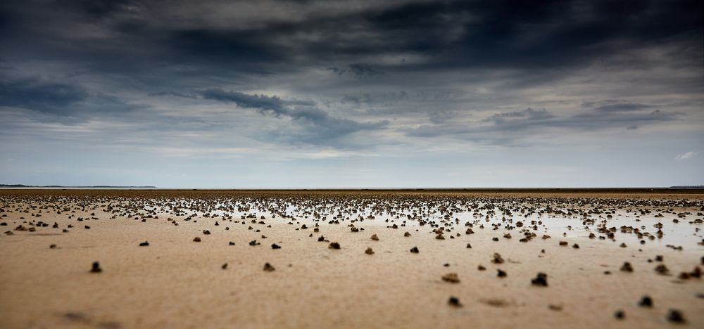 Der Wattwurm im Watt Foto & Bild | landschaft, meer & strand, watt Bilder auf fotocommunity