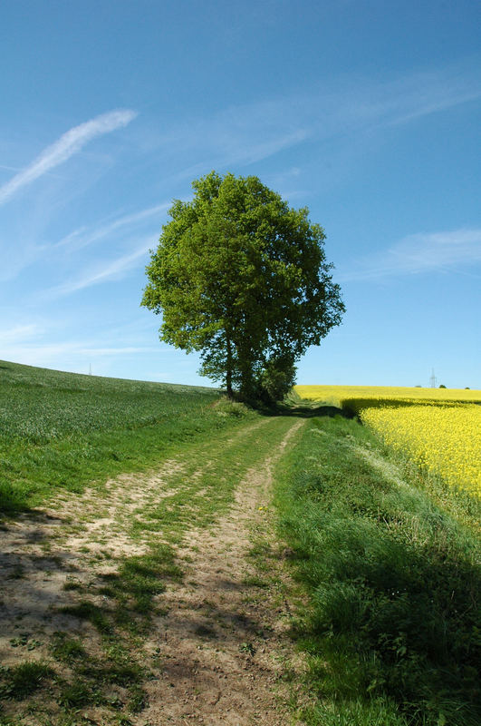 der Weg Foto & Bild | natur, landschaften, youth Bilder auf fotocommunity