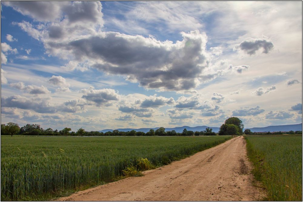 Der Weg Foto & Bild | deutschland, europe, rheinland-pfalz Bilder auf ...