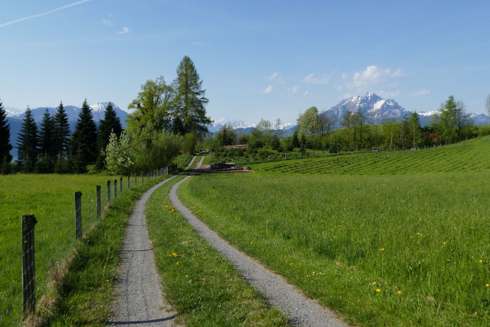 Der Weg Foto & Bild | jahreszeiten, frühling, natur Bilder auf ...