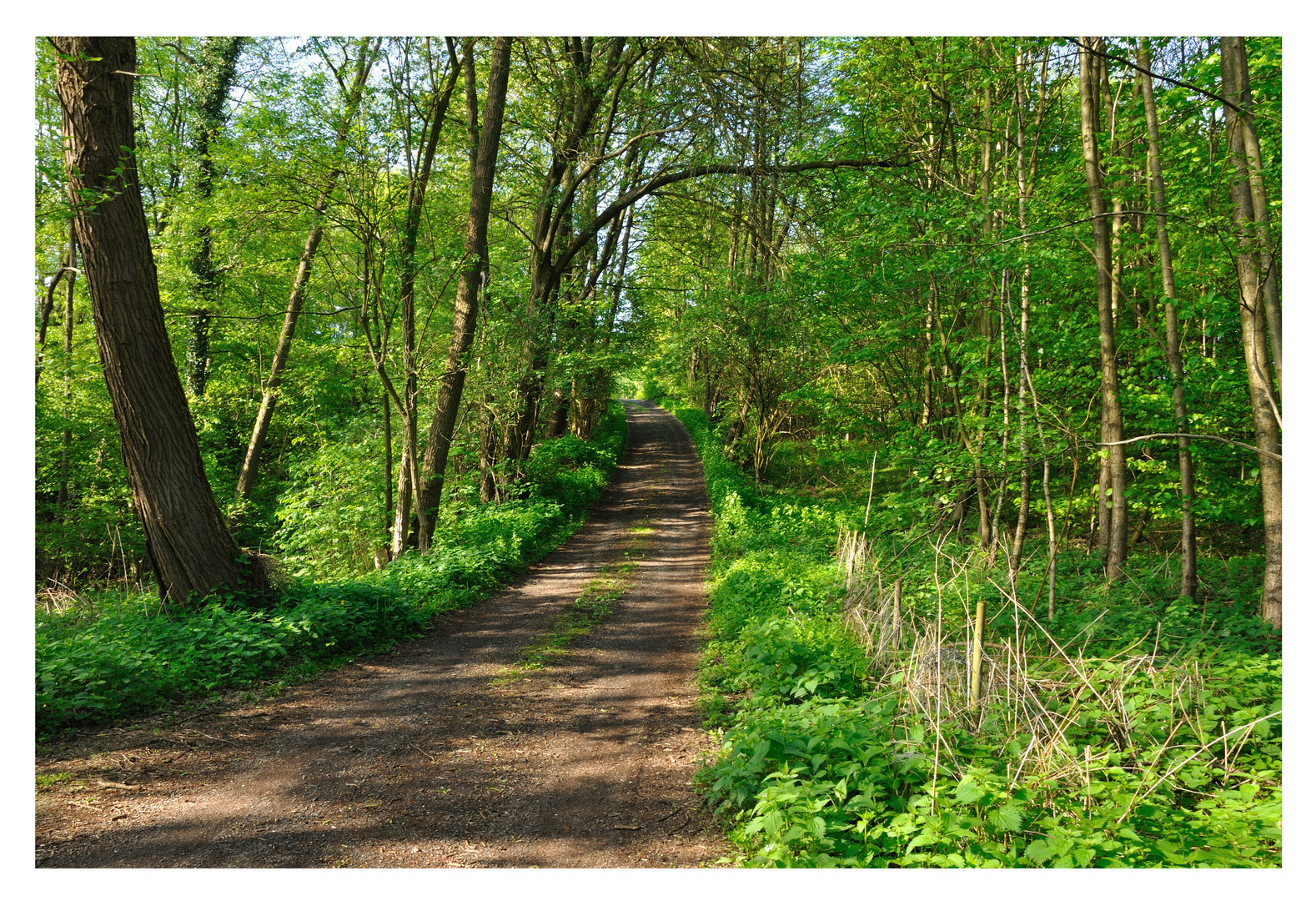 Der Weg... Foto & Bild | landschaft, wege und pfade, natur Bilder auf ...