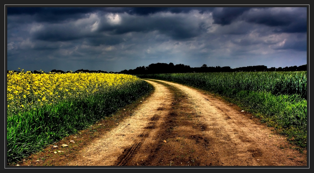 Der Weg Foto & Bild | landschaft, wege und pfade, natur Bilder auf ...