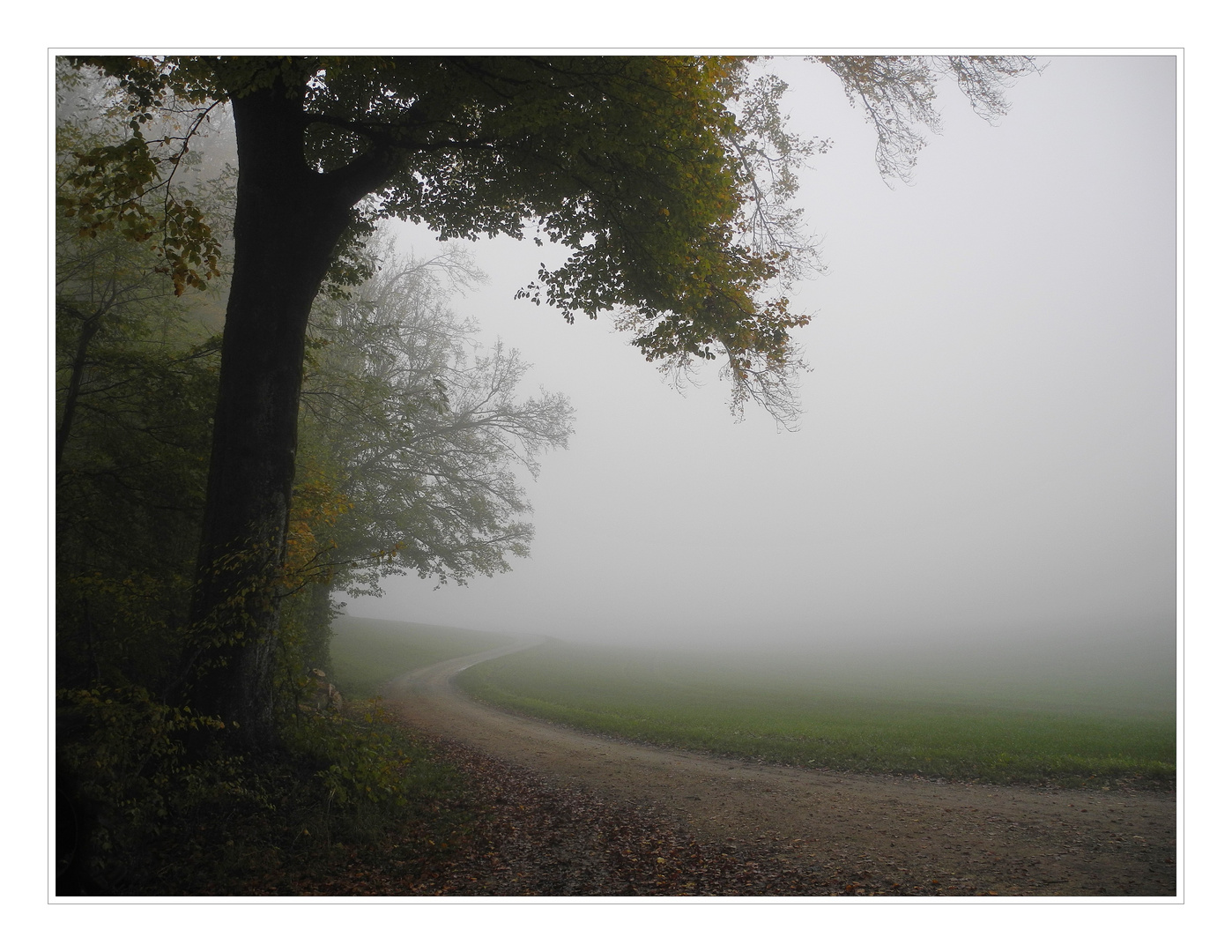 Der Weg. Foto & Bild | wald, weg, natur Bilder auf fotocommunity