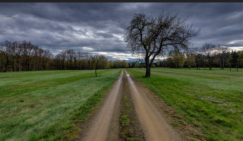 Der Weg Foto & Bild | deutschland, europe, sachsen Bilder auf fotocommunity
