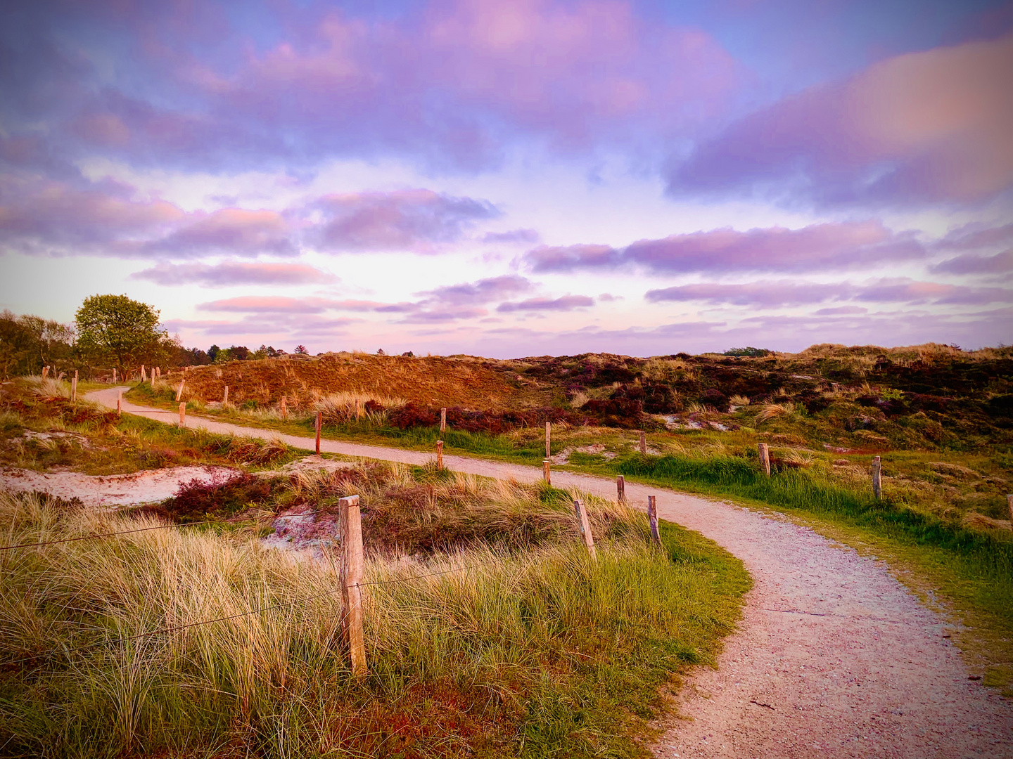 Der Weg Foto & Bild | landschaft, natur Bilder auf fotocommunity