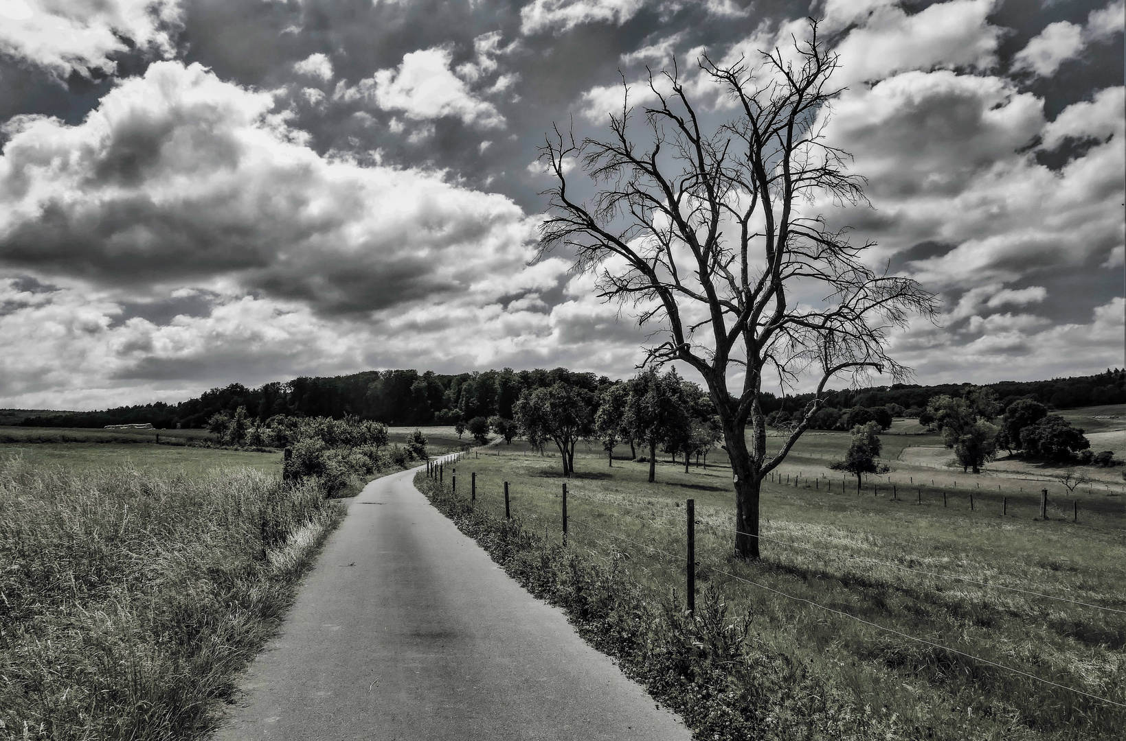 Der Weg Foto & Bild | fotos, spezial, outdoor Bilder auf fotocommunity