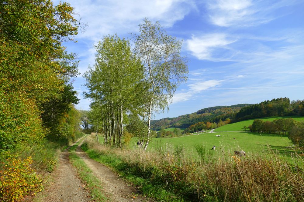 Der Weg °°°° Foto & Bild | landschaft, jahreszeiten, herbst Bilder auf fotocommunity