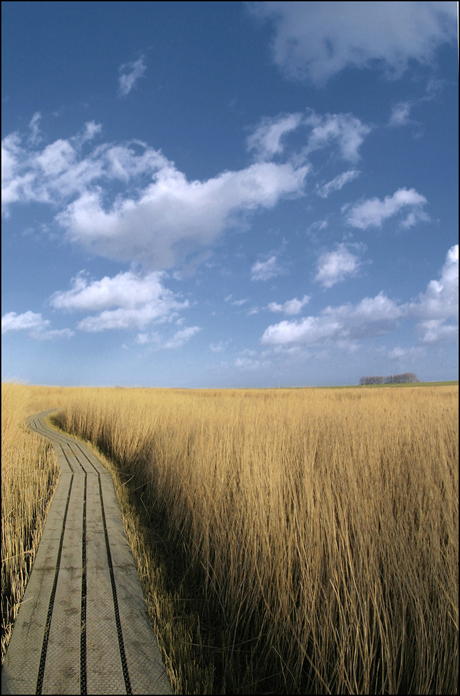 ...der Weg... Foto & Bild | landschaft, natur Bilder auf fotocommunity