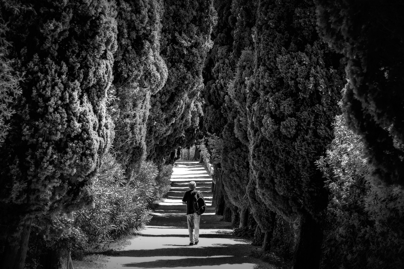 Der Weg Foto & Bild | fotos, art, italy Bilder auf fotocommunity