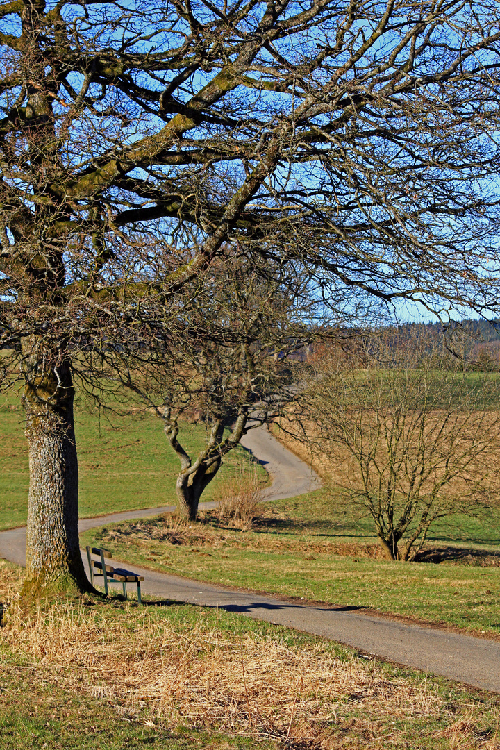 Der Weg Foto & Bild | landschaft, wege und pfade, natur Bilder auf ...