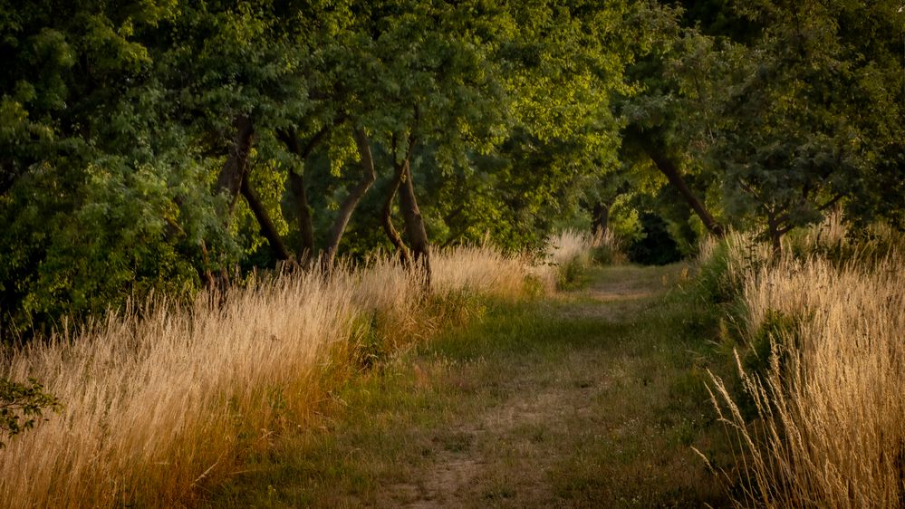 der Weg Foto & Bild | deutschland, europe, berlin Bilder auf fotocommunity