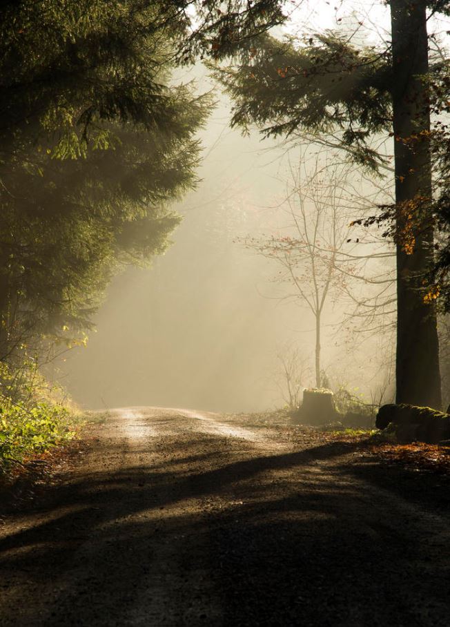 Der Weg Foto & Bild | natur-kreativ, landschaft, natur Bilder auf ...