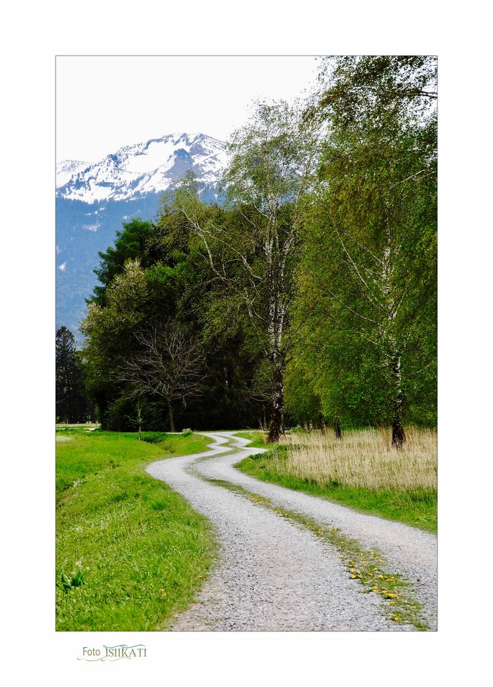 Der Weg Foto & Bild | natur, landschaft, wege und pfade Bilder auf ...