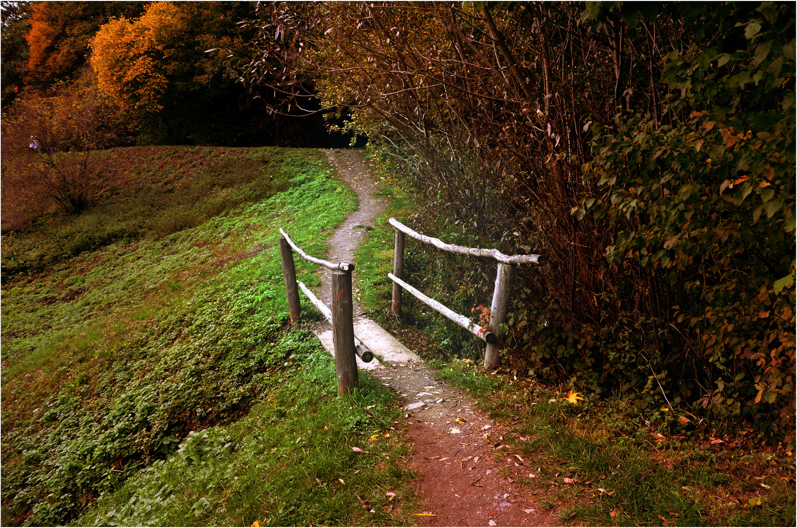 der Weg Foto & Bild | natur, weg, landschaft Bilder auf fotocommunity