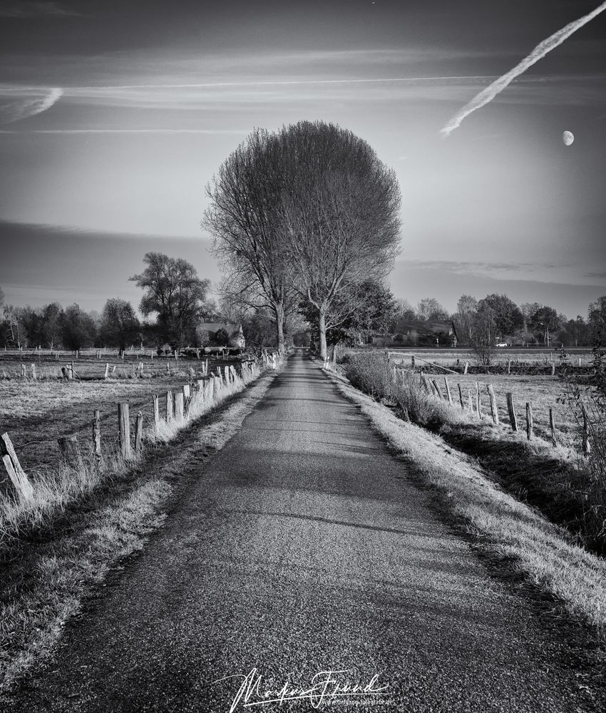 Der Weg Foto & Bild | landschaft, wege und pfade, fotos Bilder auf ...