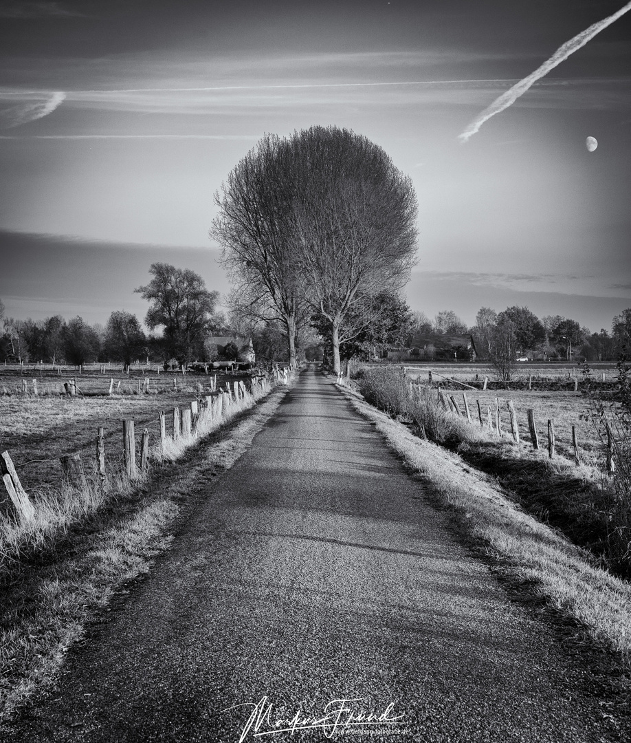 Der Weg Foto & Bild | landschaft, wege und pfade, fotos Bilder auf ...