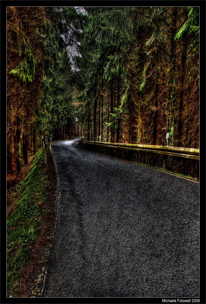 Der Weg durch den Wald Foto & Bild | landschaft, landschaften, natur ...