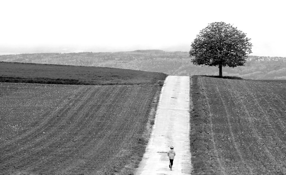 Der Weg Foto & Bild | landschaft, kinder, kulturlandschaften Bilder auf ...