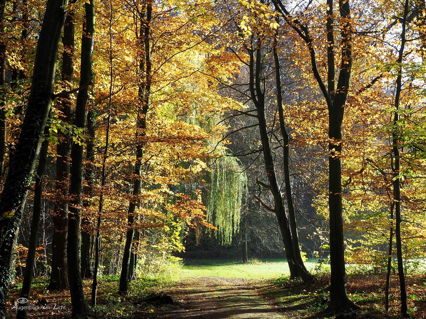 Der Weg in den Herbst Foto & Bild | landschaft, jahreszeiten, herbst Bilder auf fotocommunity
