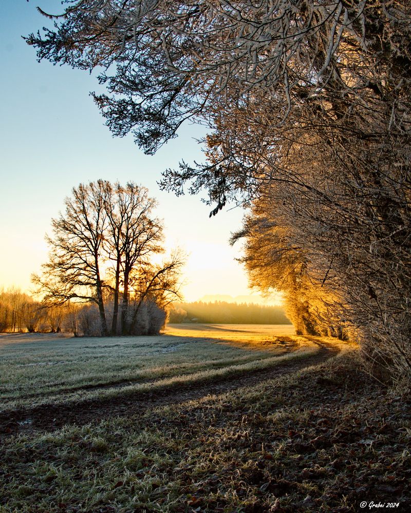 Der Weg in die Sonne Foto & Bild | deutschland, europe, bayern Bilder ...