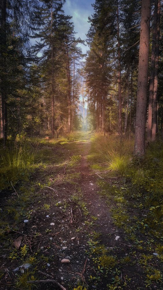 Der Weg ins Glück Foto & Bild | fotomontage, landschaften, digiart Bilder auf fotocommunity