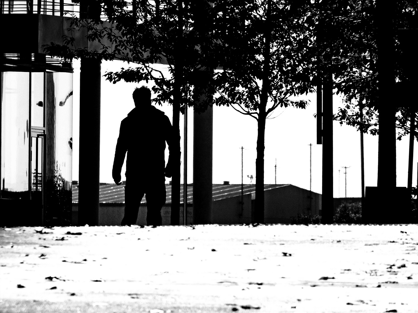 der Weg ist das Ziel Foto & Bild | streetfotografie mit menschen, konzept- fotografie ...