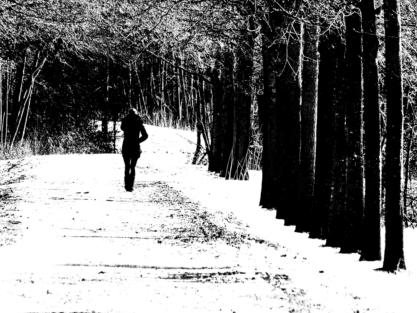 der Weg ist das Ziel Foto & Bild | erwachsene menschen, konzept- fotografie, bearbeitungs ...