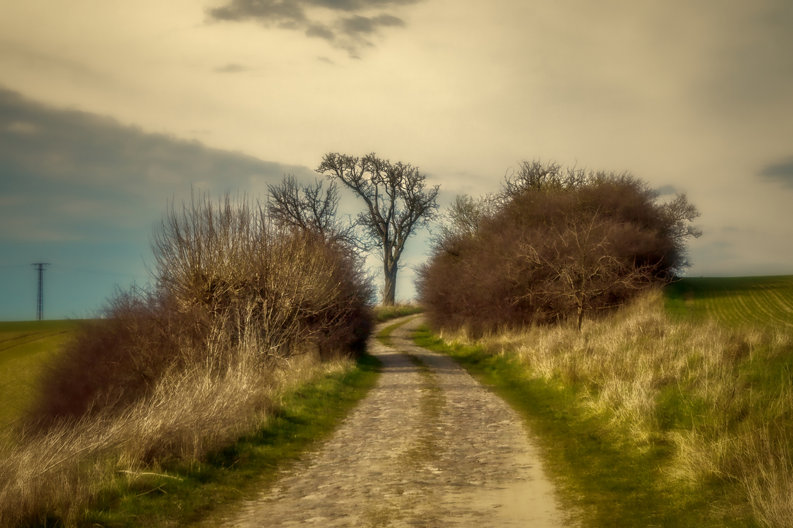 Der Weg ist das Ziel ... Foto & Bild | deutschland, europe, brandenburg ...