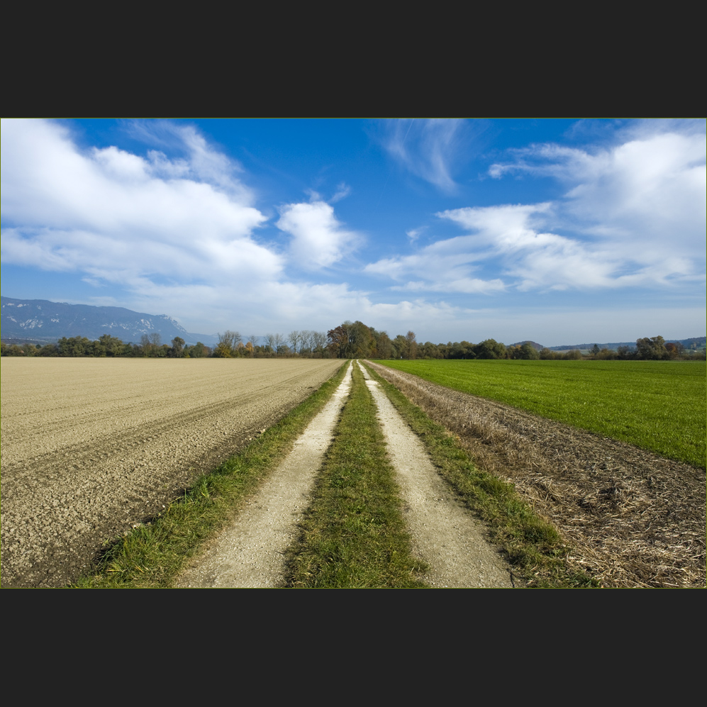 - DER WEG IST DAS ZIEL - Foto & Bild | jahreszeiten, herbst ...