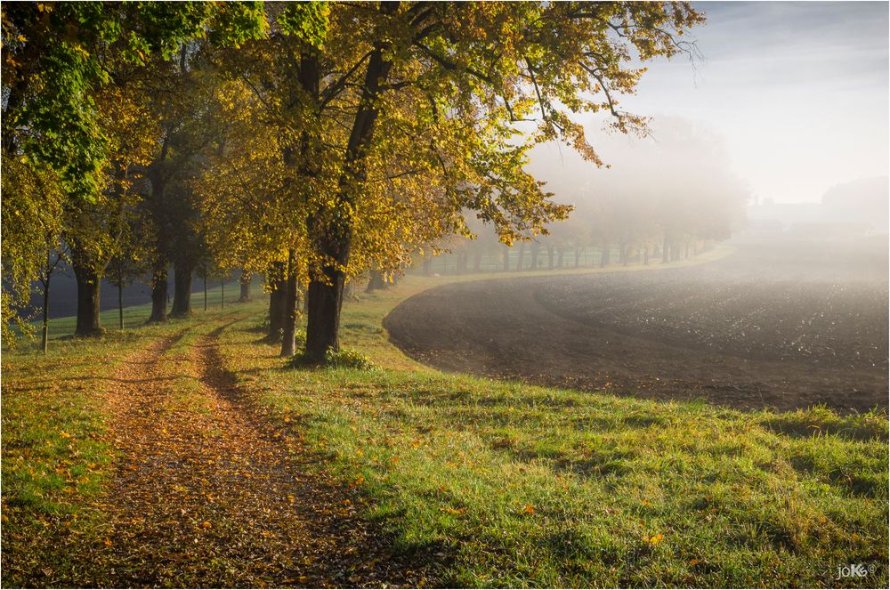 Der Weg kann das Ziel sein Foto & Bild | bäume, sonnenaufgang, weg ...