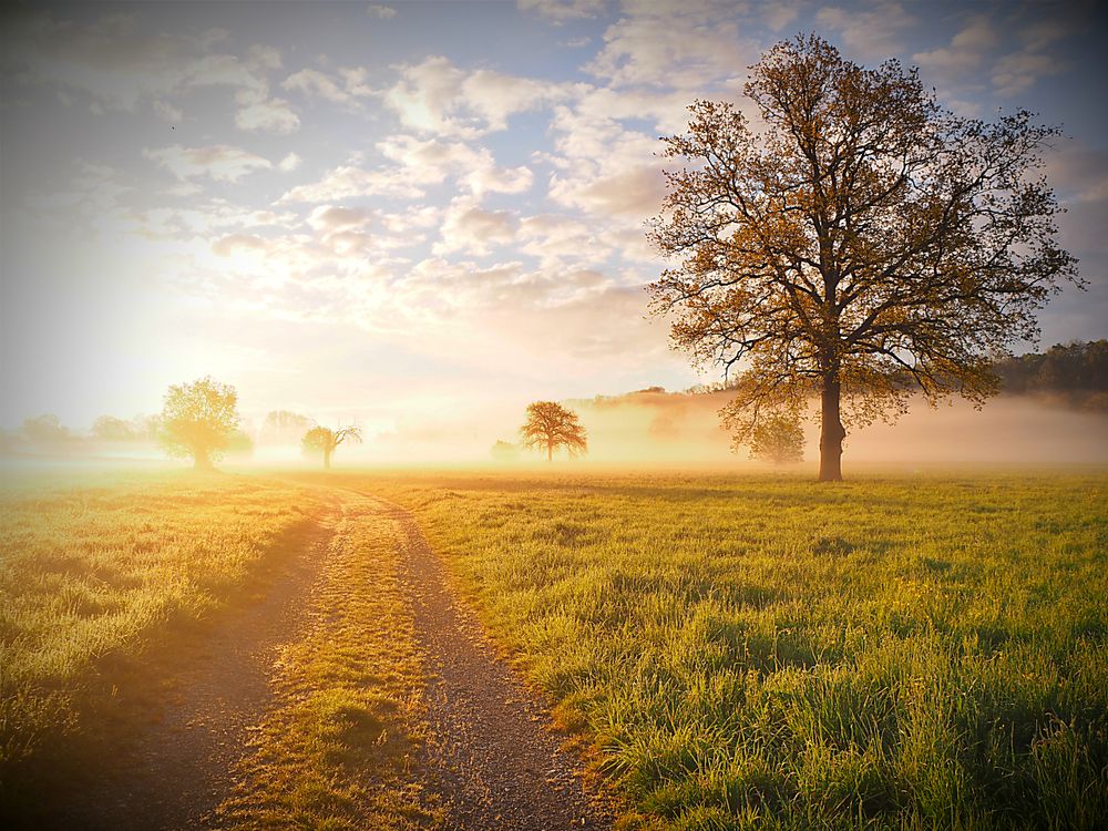 der Weg zum Licht Foto & Bild | landschaft, sonnenaufgänge, wege und ...