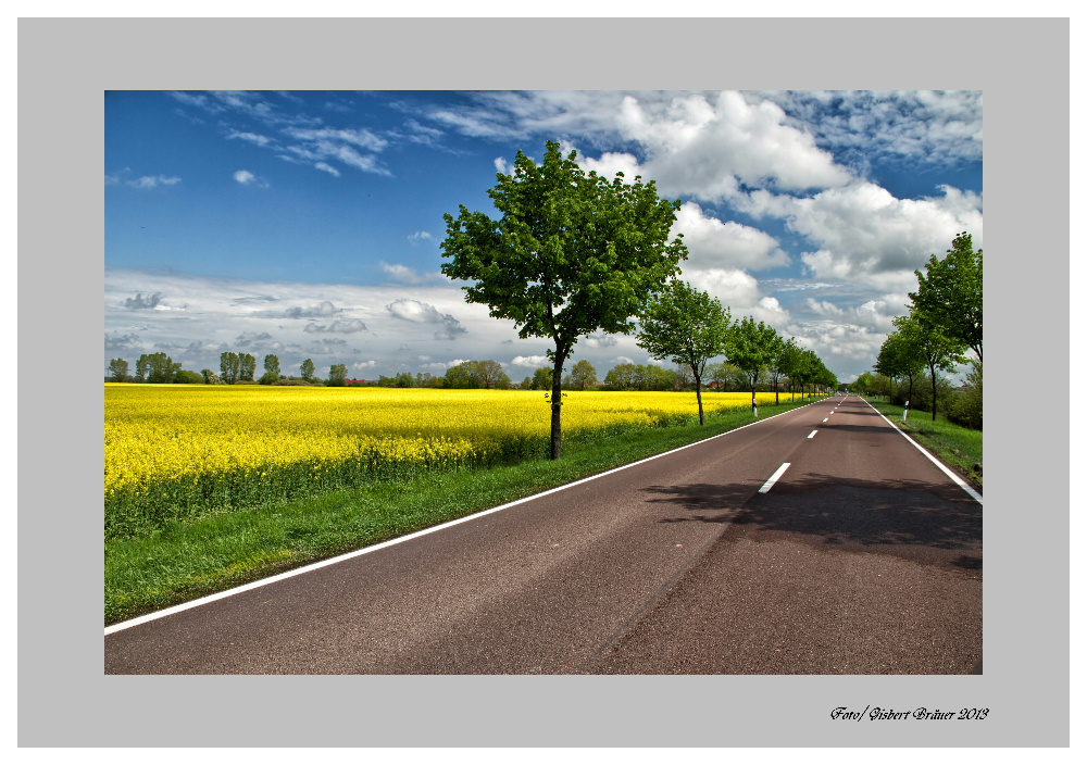 Der Weg zum Ziel / Bild 1 Foto & Bild | jahreszeiten, frühling, natur ...