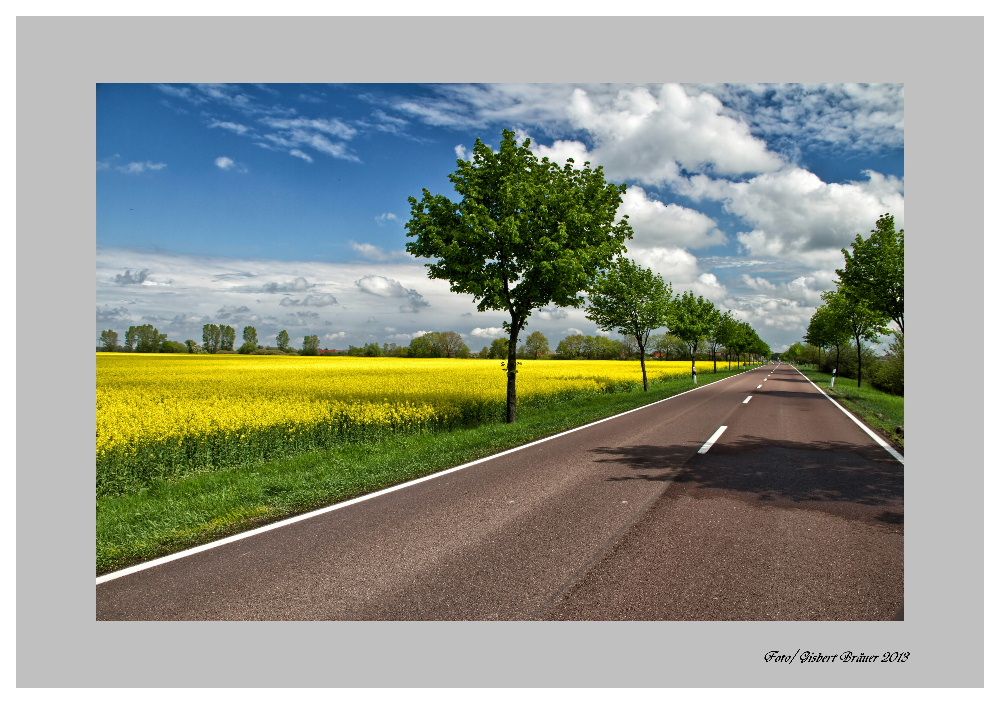 Der Weg zum Ziel / Bild 1 Foto & Bild | jahreszeiten, frühling, natur ...