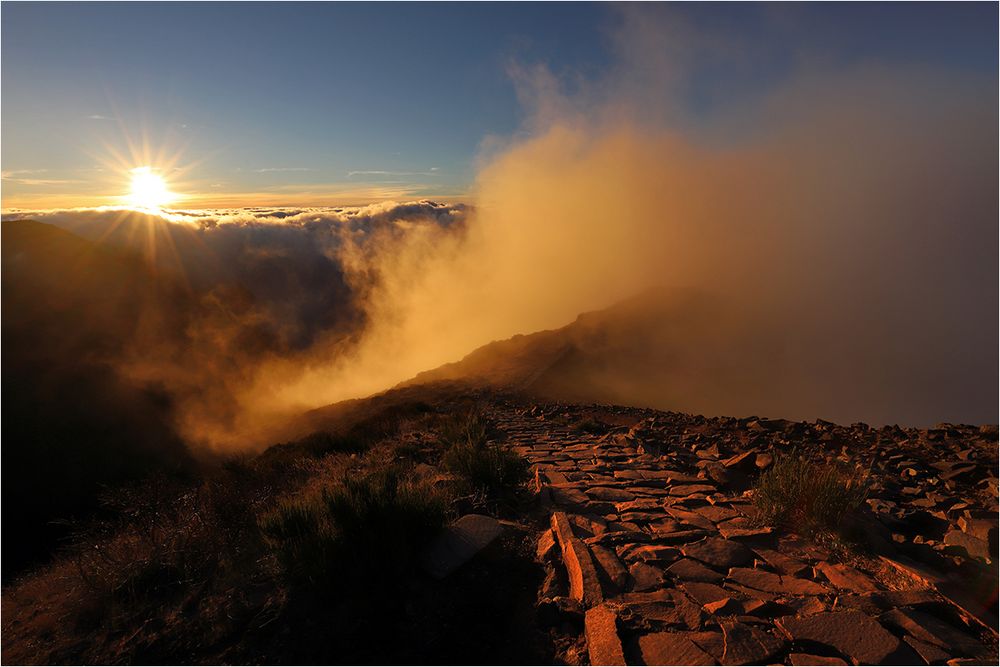Der Weg zur Sonne Foto & Bild | europe, portugal, landschaft Bilder auf ...