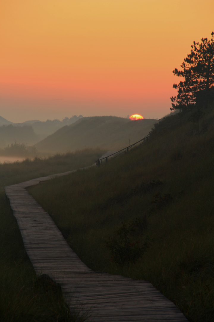 Der Weg zur Sonne Foto & Bild | deutschland, europe, schleswig ...