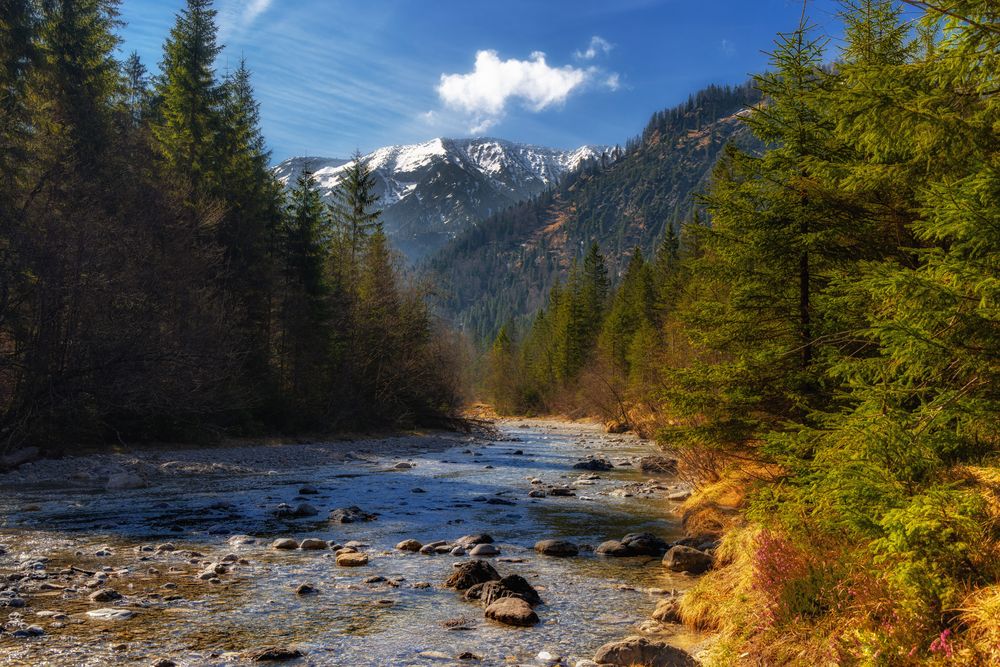 Der Wildbach Foto & Bild | landschaft, lebensräume, bach, fluss & see ...