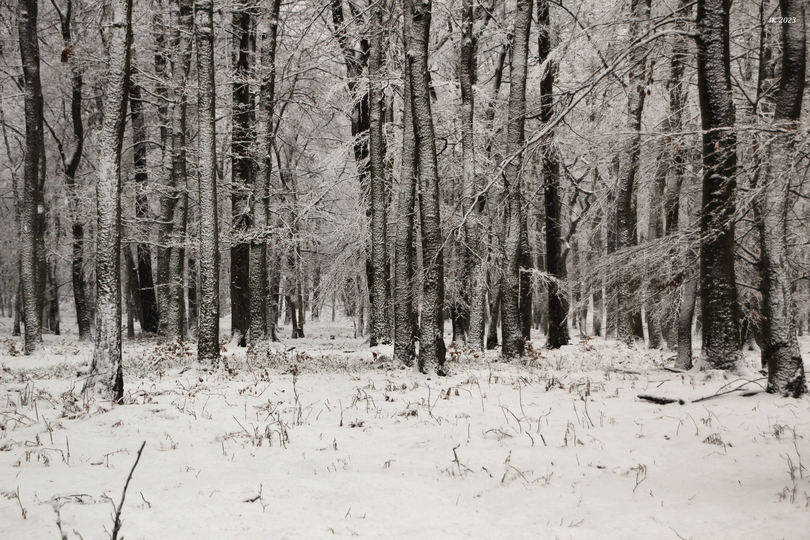 Der Winter..... Foto & Bild | jahreszeiten, winter, natur Bilder auf fotocommunity