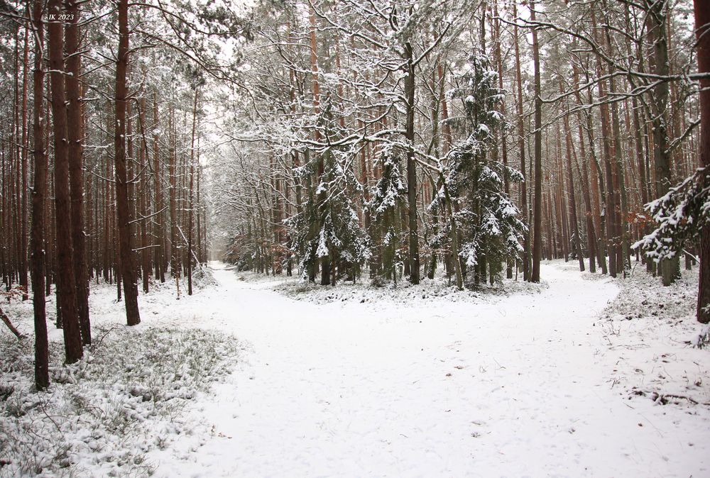 Der Winter..... Foto & Bild | winter, schnee, natur Bilder auf fotocommunity
