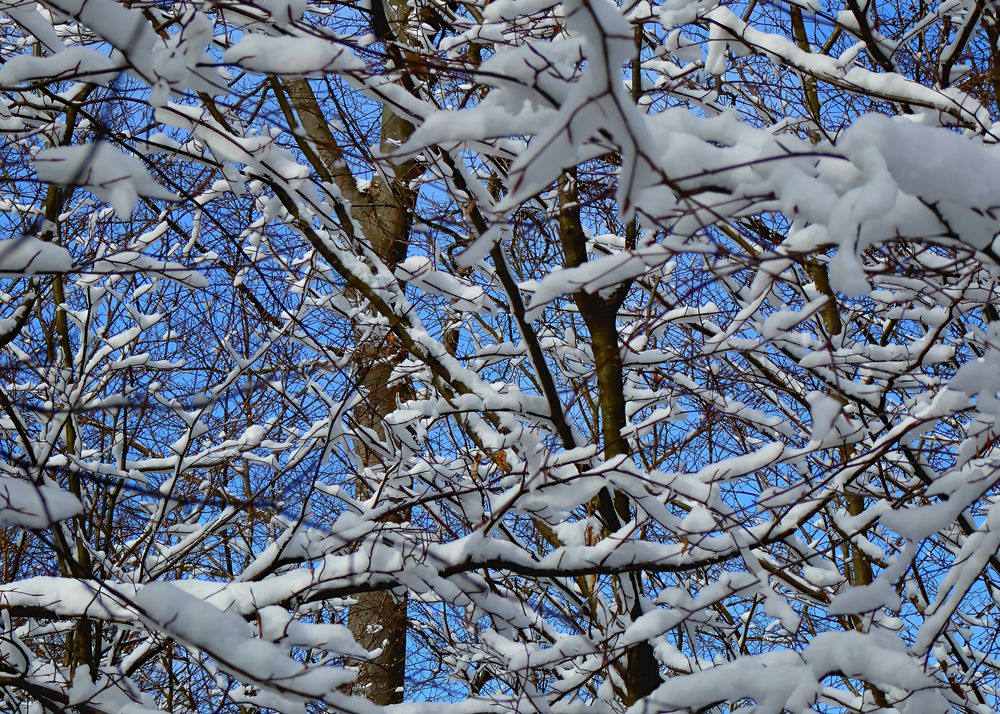 Der Winter ist zurück.... Foto & Bild | jahreszeiten, winter, himmel Bilder auf fotocommunity