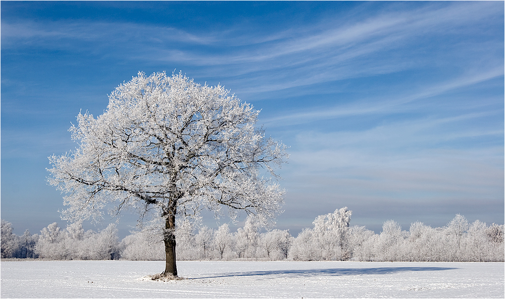 Der Winter kommt... #5 Foto & Bild | jahreszeiten, winter, natur Bilder ...