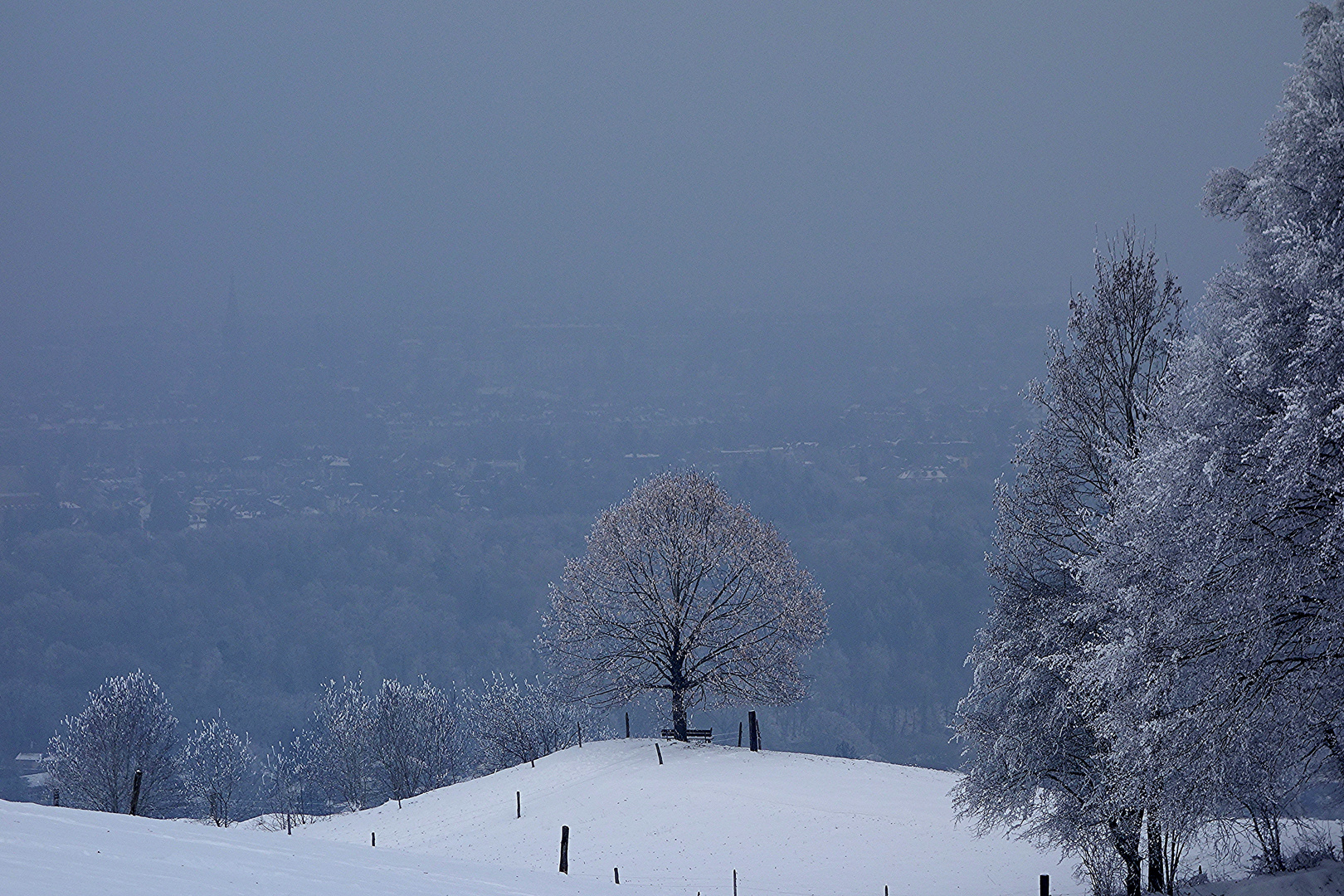 Der Winter kommt und geht Foto & Bild | landschaft, lebensräume, bäume ...