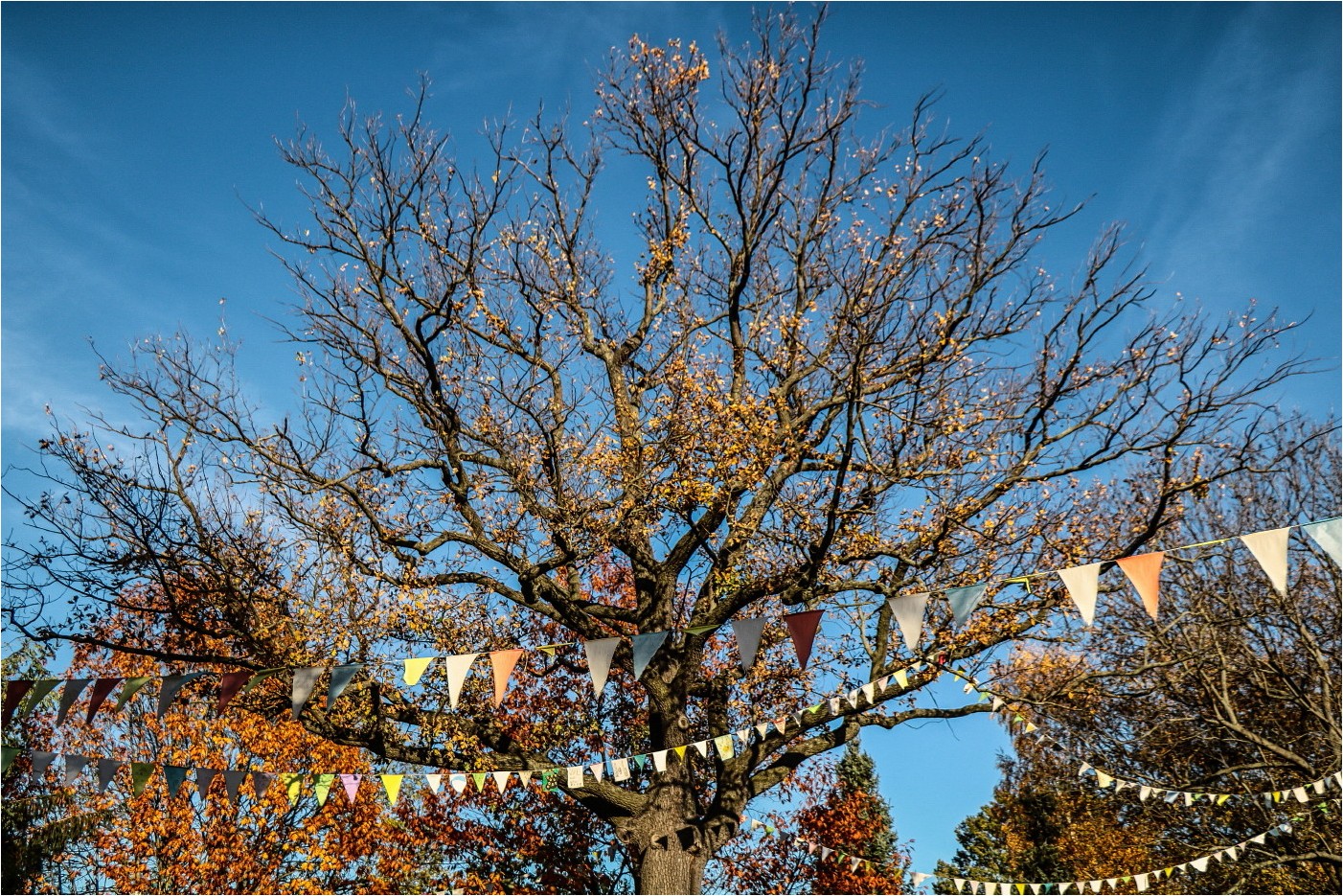 Der Wunschbaum Foto & Bild | art, world, spezial Bilder auf fotocommunity