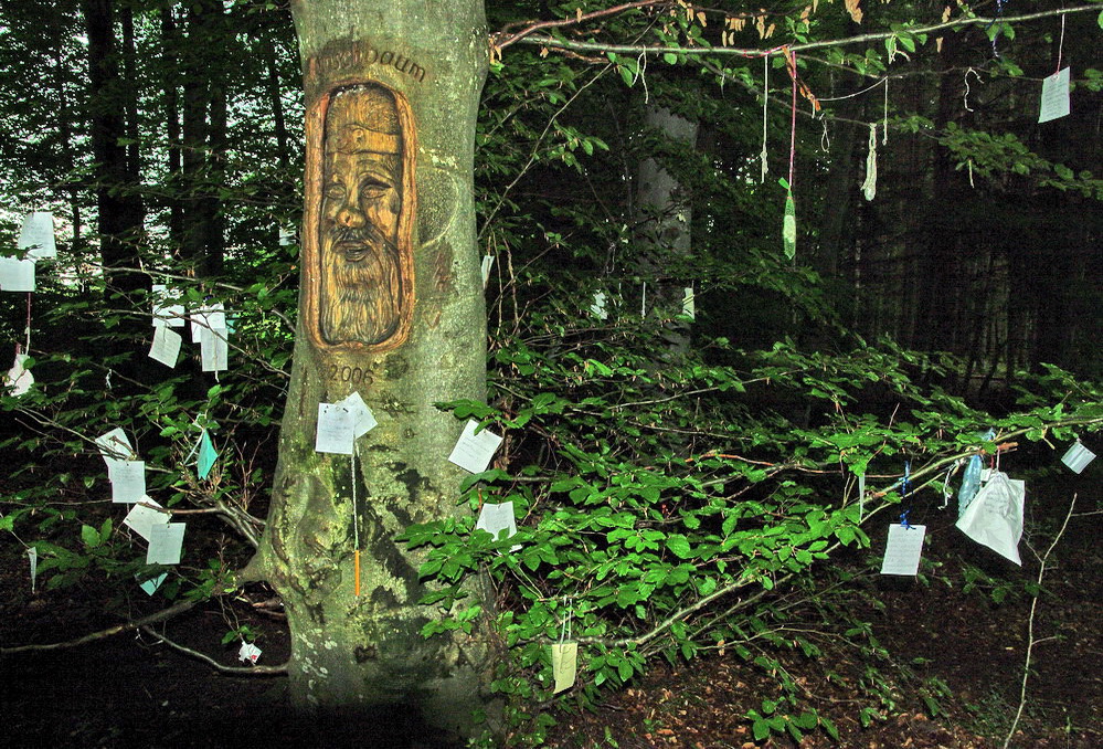 Der Wunschbaum Foto & Bild | kinder, kinder im schulalter, menschen Bilder auf fotocommunity