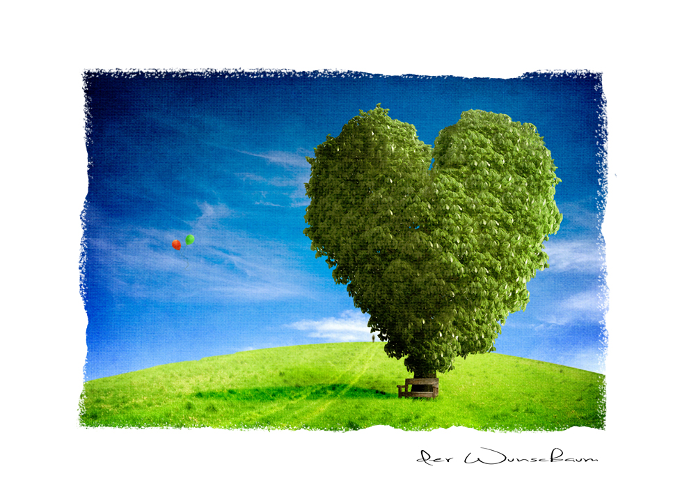 der Wunschbaum Foto & Bild | fotomontage, composing , digi-art Bilder auf fotocommunity
