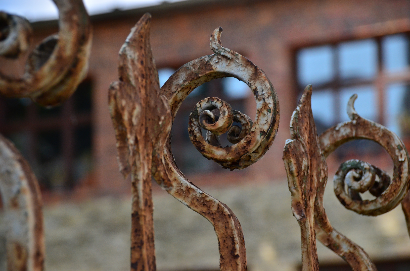 Der Zahn der Zeit Foto & Bild | dokumentation, stillleben, formen ...