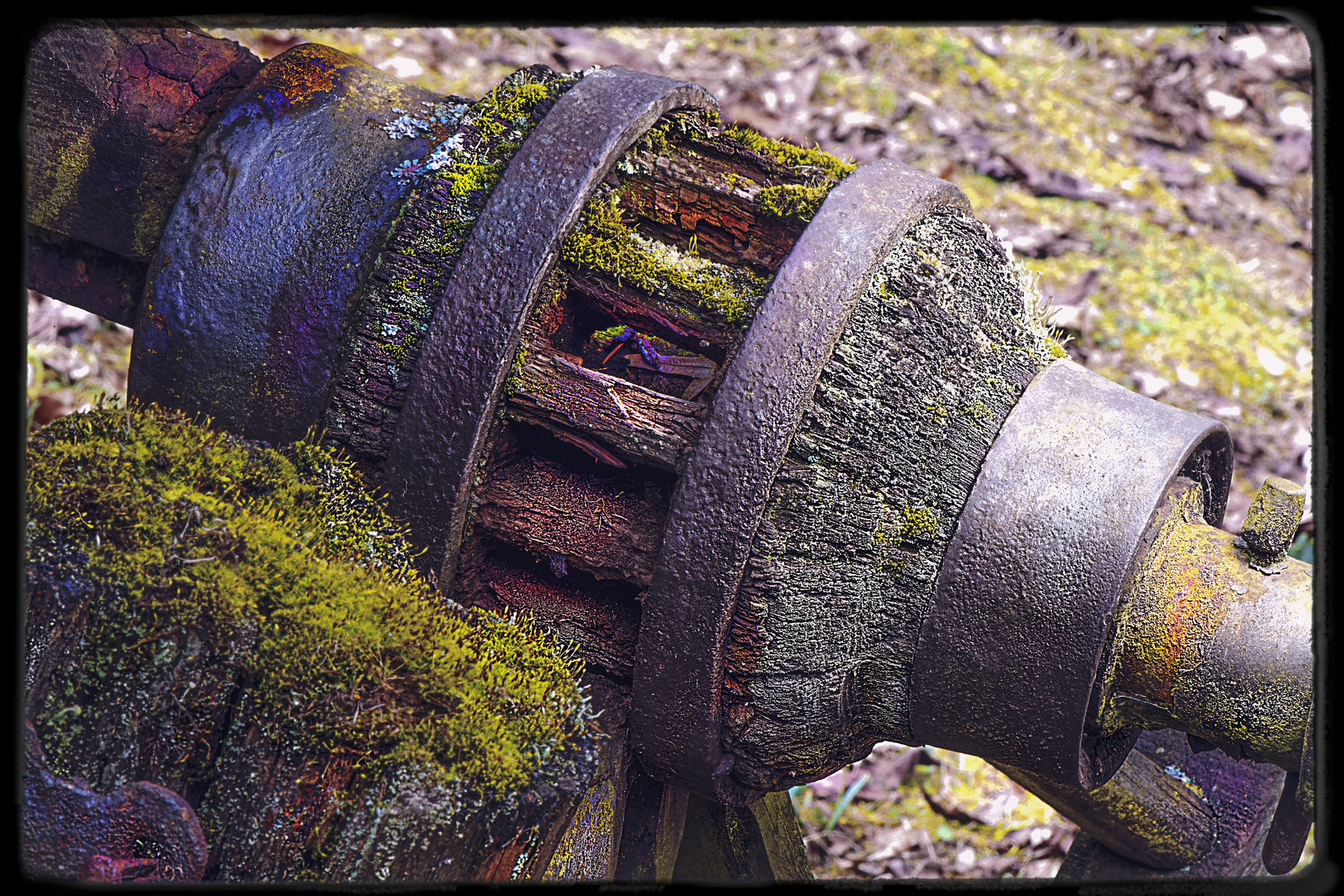 Der Zahn der Zeit Foto & Bild | marode, dokumentation, makro Bilder auf ...