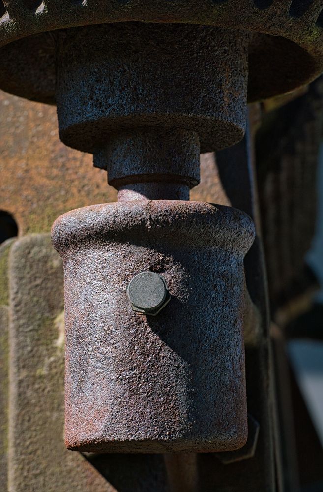 Der Zahn der Zeit Foto & Bild | art, world, spezial Bilder auf ...