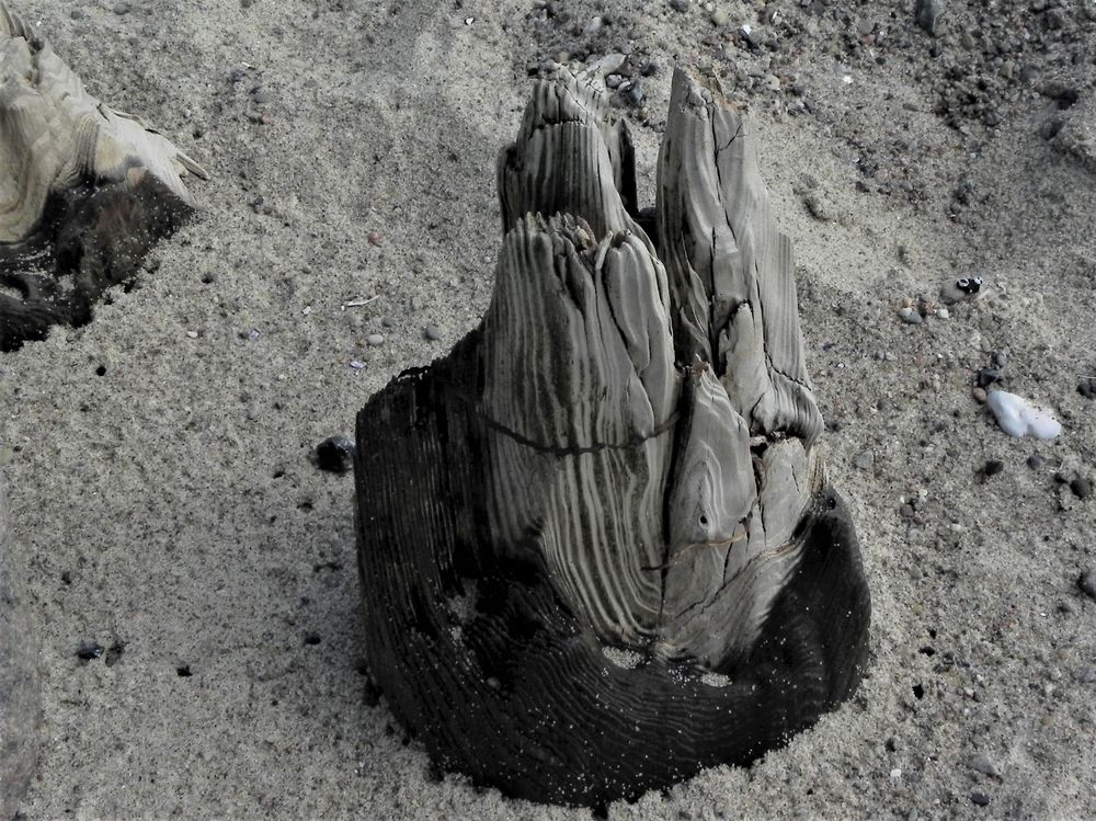 Der Zahn der Zeit... Foto & Bild | world, ostsee, natur Bilder auf ...